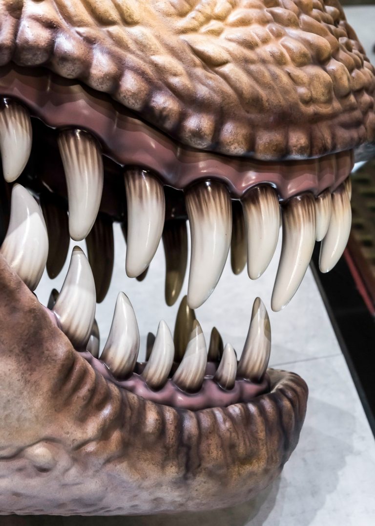 Coach Unleashes Rexy: A Larger-than-Life Installation on London’s ...