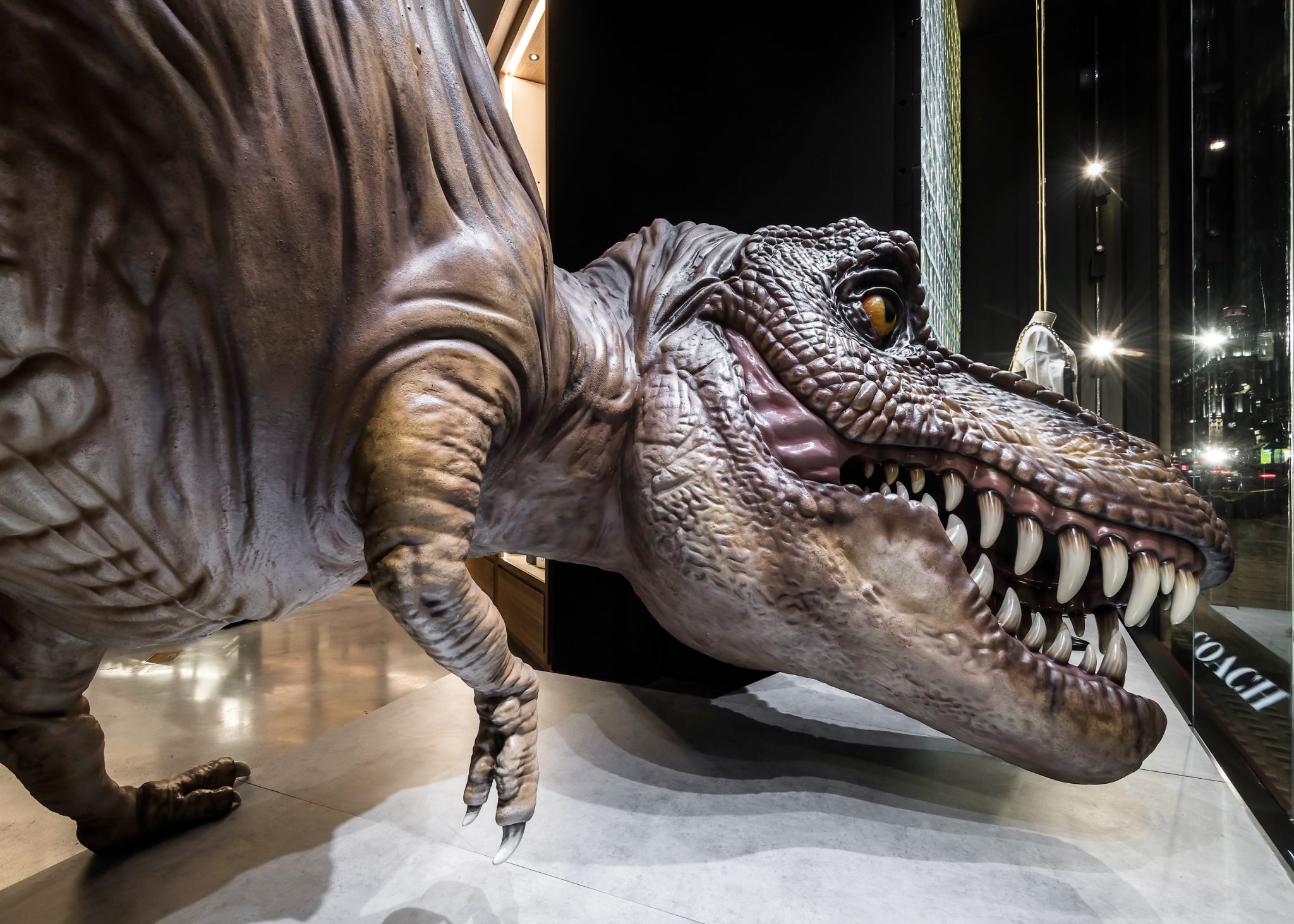 Coach Unleashes Rexy: A Larger-than-Life Installation on London’s ...